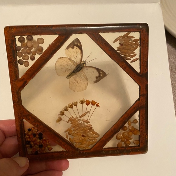 Accents | Vintage 197s Lucite Acrylic Trivet Butterfly With Seeds ...